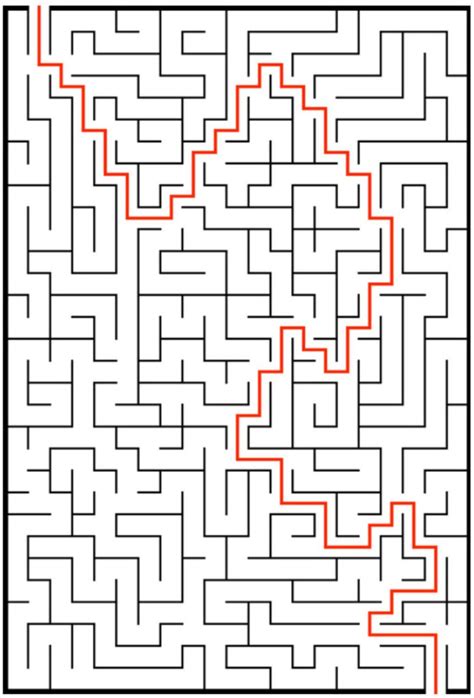 Blueberries Maze 524 Solution Seasoned Times