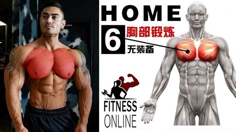胸部训练教程，全方位打造性感胸肌体育健美健身好看视频