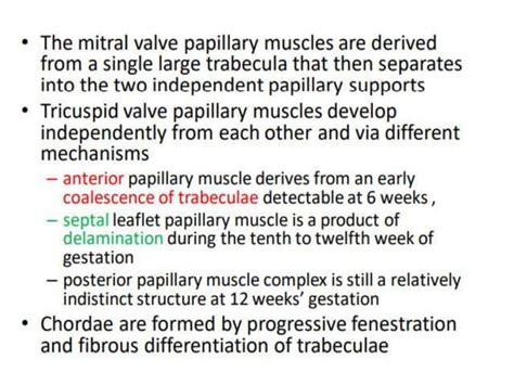 Atrioventricular Canal Defect Pptx Heart And Cardiovascular Diseases Diseases And Conditions