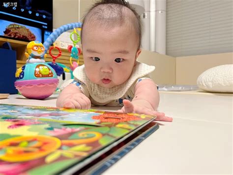 육아 일상 베이비무브로 단호박찜 만들기 의왕 장난감도서관 대여방법 베이비아인슈타인 점퍼루 등 5개월 아기 놀아주기 네이버 블로그