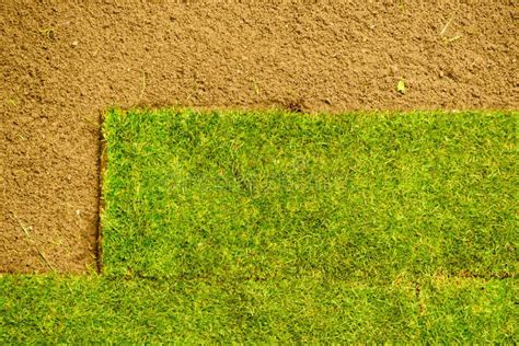 Laying Sod For The New Lawn Stock Image Image Of Garden Field 298313037