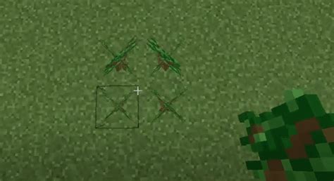 Why Is Dark Oak Sapling Not Growing In Minecraft West Games