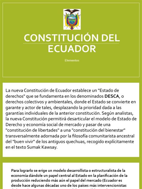 Constitución Del Ecuador Pdf Gobierno Ciencias Políticas