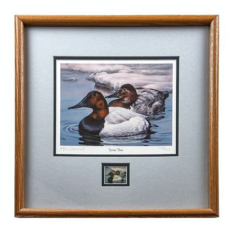 Ltd Numbered Kim Diment Ducks Unlimited Print