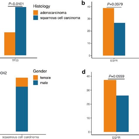 Comprehensive Profiling Of Prevalence Of Egfr And Tp53 From Patients