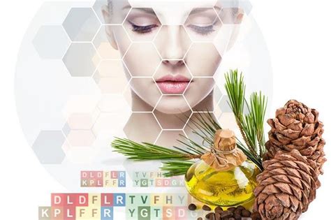 Skin Barrier Restoring Skincare Lipoid Kosmetik