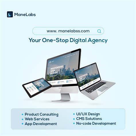 Abiodun Omonijo On Linkedin I Shared This A Few Days Ago Mane Labs Is A Service Platform Were