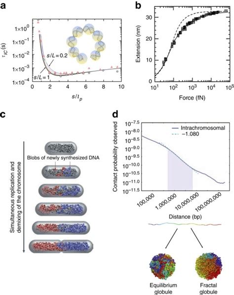 Capturing The Essence Of Folding And Functions Of Biomolecules Using