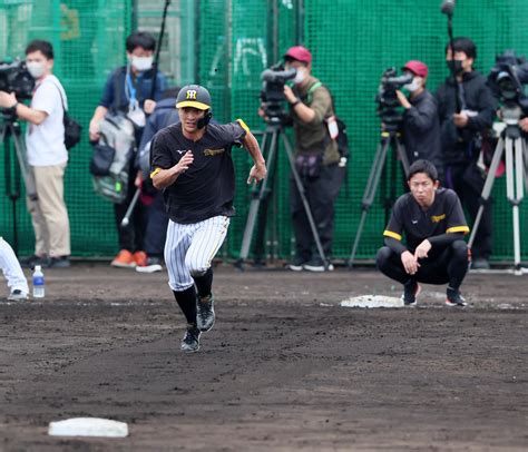 【阪神】赤星憲広氏「気持ち入っています」11年ぶり臨時コーチで381盗塁のエキス注入 プロ野球写真ニュース 日刊スポーツ