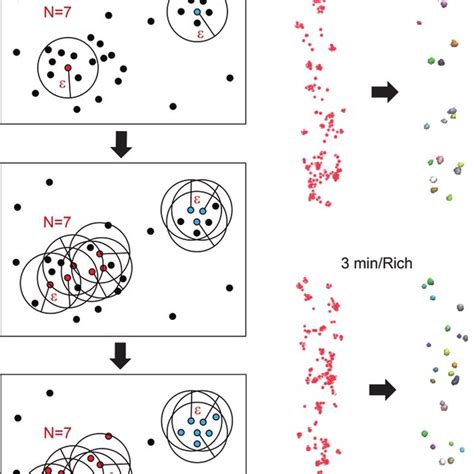 Copy Number Calculation A Illustration Of Copy Number Calculation Download Scientific