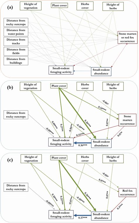 Most Parsimonious Structural Equation Models Sem A All Paths In