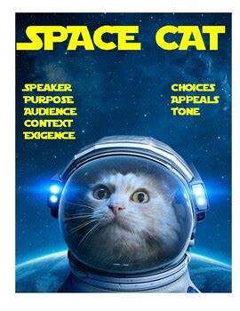 AP Lang Rhetorical Analysis SPACE CAT Posters By Use Shan S Plans