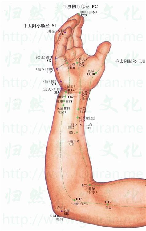 陰郄穴位置 陰郄穴痛 穴道按摩與穴位引導經絡功效圖解 穴道經絡引導