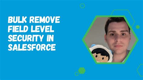 Bulk Remove Field Level Security In Salesforce Youtube
