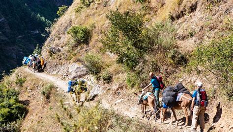 Tsum Valley Trek Itinerary Cost And Fixed Departure 2025