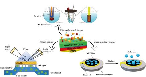 Chemosensors Mdpi On Linkedin Review Recommendation Sensing Chemistry Mip Sensors