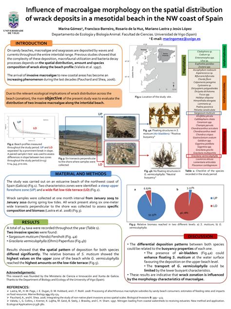 Pdf Influence Of Macroalgae Morphology On The Spatial Distribution Of Wrack Deposits In A