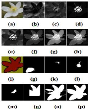Figure From Salient Object Detection Via Region Shape Feature Contrast And Saliency Fusion