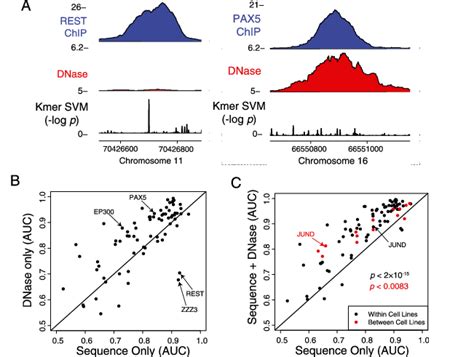 Combining Chromatin And Sequence Models Improves Binding Site