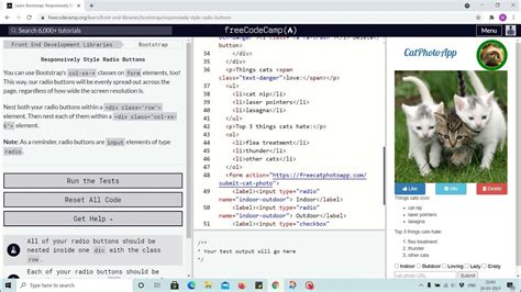Bootstrap Tutorial 15 Responsively Style Radio Buttons Freecodecamp