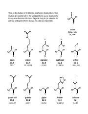 Explore The Structures And Pka Values Of 20 Amino Acids Course Hero