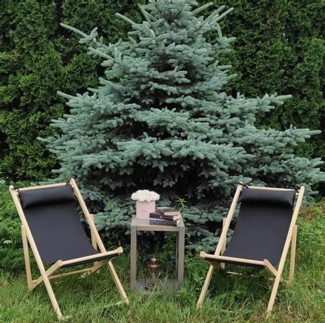 ᐉ Шезлонг для дачі Чорний КШ 018 • Краща ціна в Києві Україні