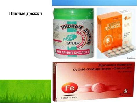 Использование дрожжей в пищевой промышленности презентация доклад проект скачать