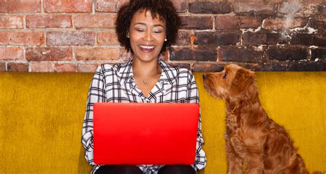 Bark Finds Its Bite W Netsuite And Mhi Hosted By Ns W Mhi And Bark