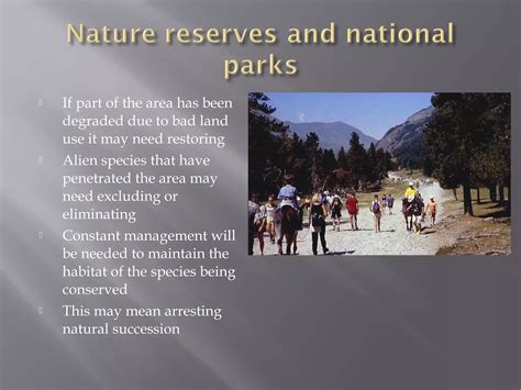 In Situ And Ex Situ Conservation Ppt