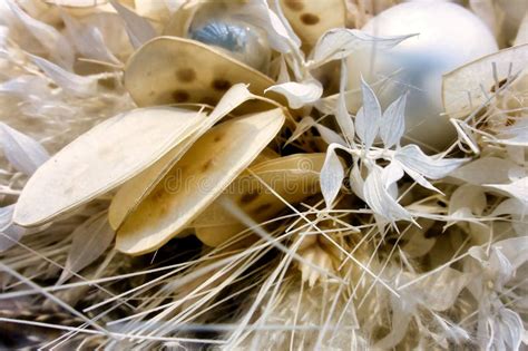 A Structure For Decoration Purposes With Various Ingredients Suitable