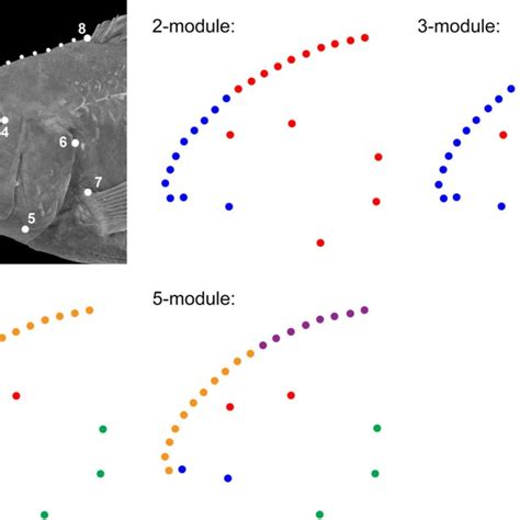 Scree Plots Showing The Proportion Of Variation Explained By Each Download Scientific Diagram