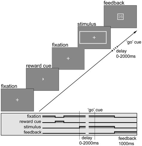 Procedure Of The Perceptual Decision Making Task With Unequal Download Scientific Diagram