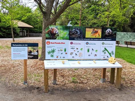 red pandas — colorbox industries exhibit design red pandas range map