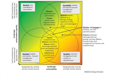 5 A Conservation Strategy Scheme Combining Landscape Conservation