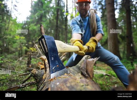 Male Worker With Ax Chopping A Tree In The Forest Stock Photo Alamy