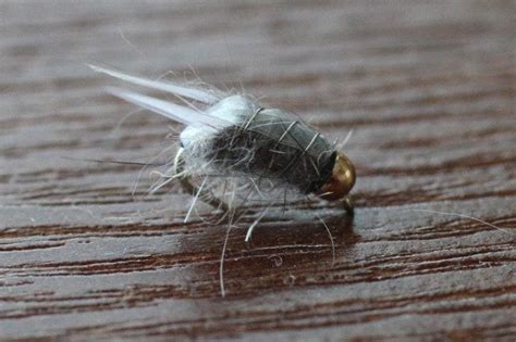 Sow Bug Wooly Bugger Fly Co