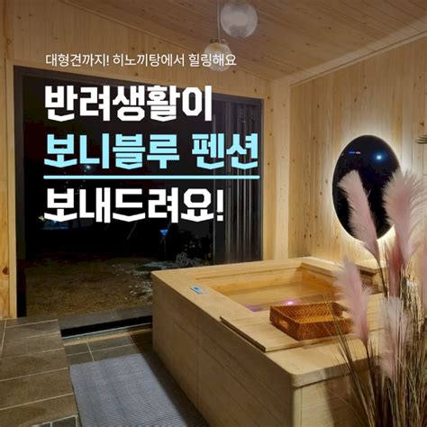 반려생활 Event 강원도 고성 독채 애견펜션 보니블루 무료숙박권 받자