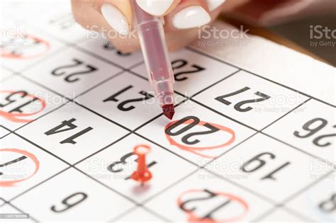 2022년 달력에 빨간 펜을 사용하여 직원 여성의 손을 닫고 2022 년 일정에 따라 약속 회의를 하거나 집 안 개념에서 일하기 위해 매일 시간표를 관리하십시오 계획에 대한