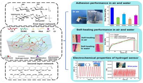 Highly Sensitive And Robust Polysaccharide Based Composite Hydrogel Sensor Integrated With