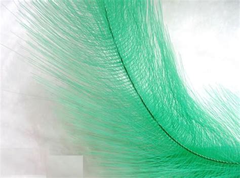 Buy Deelicious Trading Koi Fish Spawning Ropebrush 29 X 6 Package Of