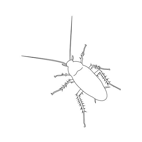 Premium Vector Cockroach Icon Vector Illustration Design