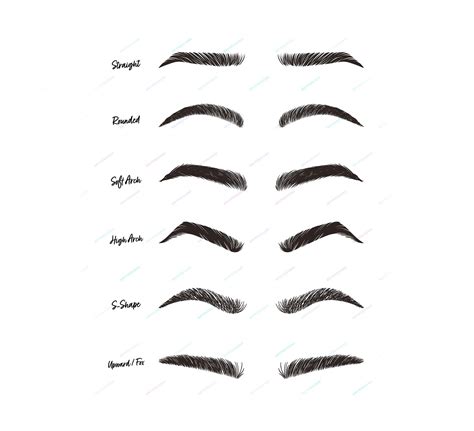 Thick Eyebrows Shapes Chart