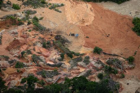 Terra Yanomami Completa 30 Anos Com Maior Devastação Da História