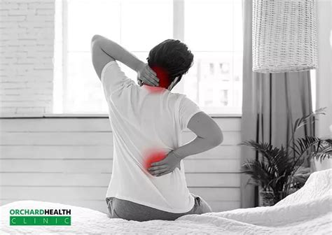 Osteopaths Everything You Need To Know Orchard Health Clinic