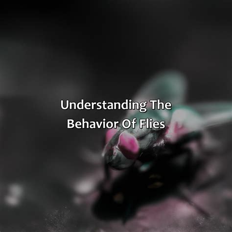 What Color Do Flies Hate