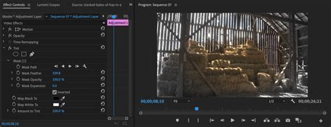How To Use Adobe Premiere Pro Masks Motion Array