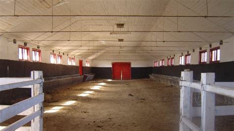 Herghelia De La Beclean Judetul Bistrita Știrile Protv