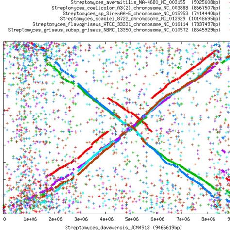 Schematic Representation Of The Streptomyces Davawensis Genome A G ϩ Download Scientific