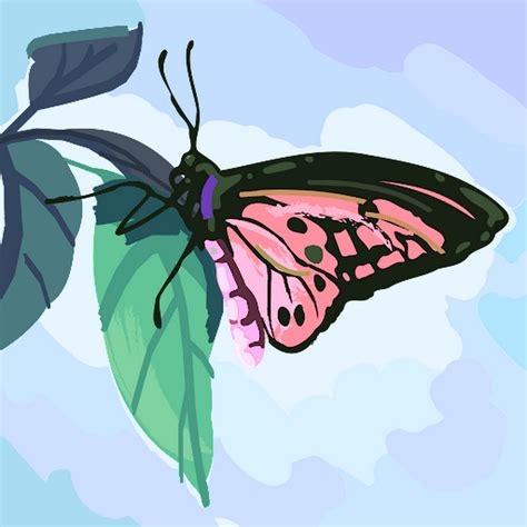 Aiden Ramirez Youtube