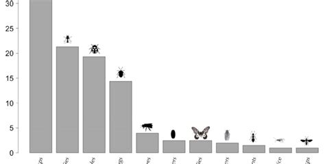 11 Number Of Insect Species In Each Insect Group As A Percentage Of The